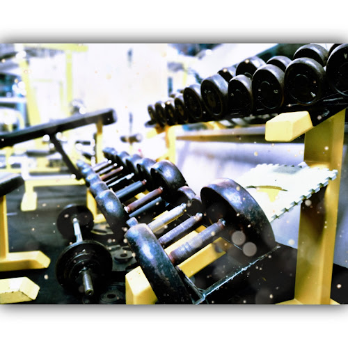 Athena Gym, Kota Salatiga - Fitnesloka